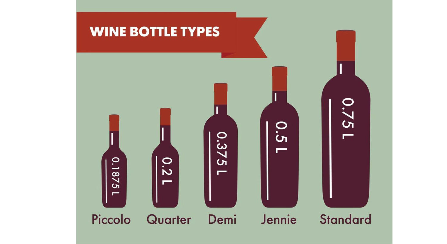 Bottle Sizes for Wine: A Guide for Every Wine Love – Kwaf Wine Aerators