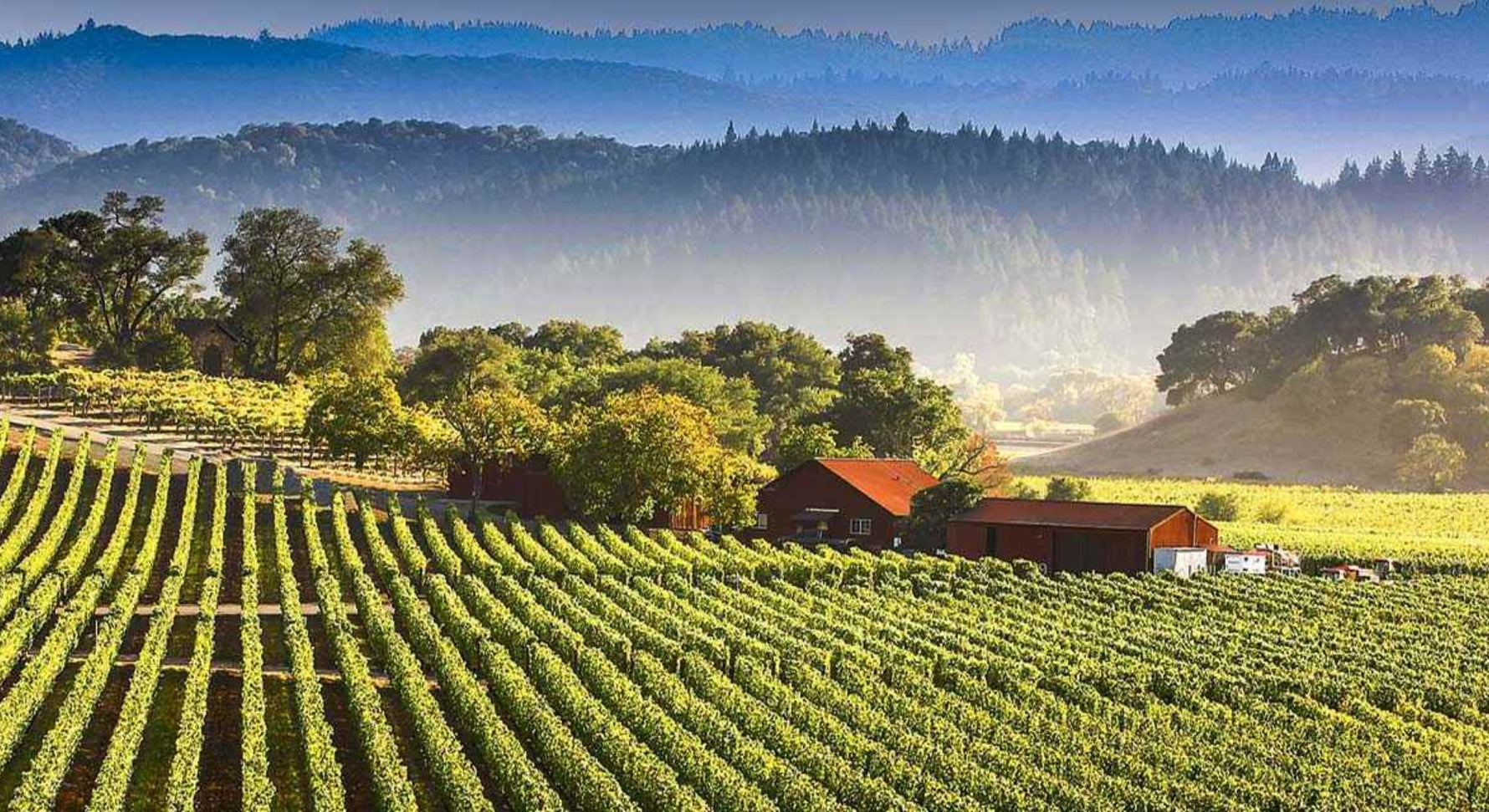 Exploring the Charm of Wine Country California – Kwaf Wine Aerators