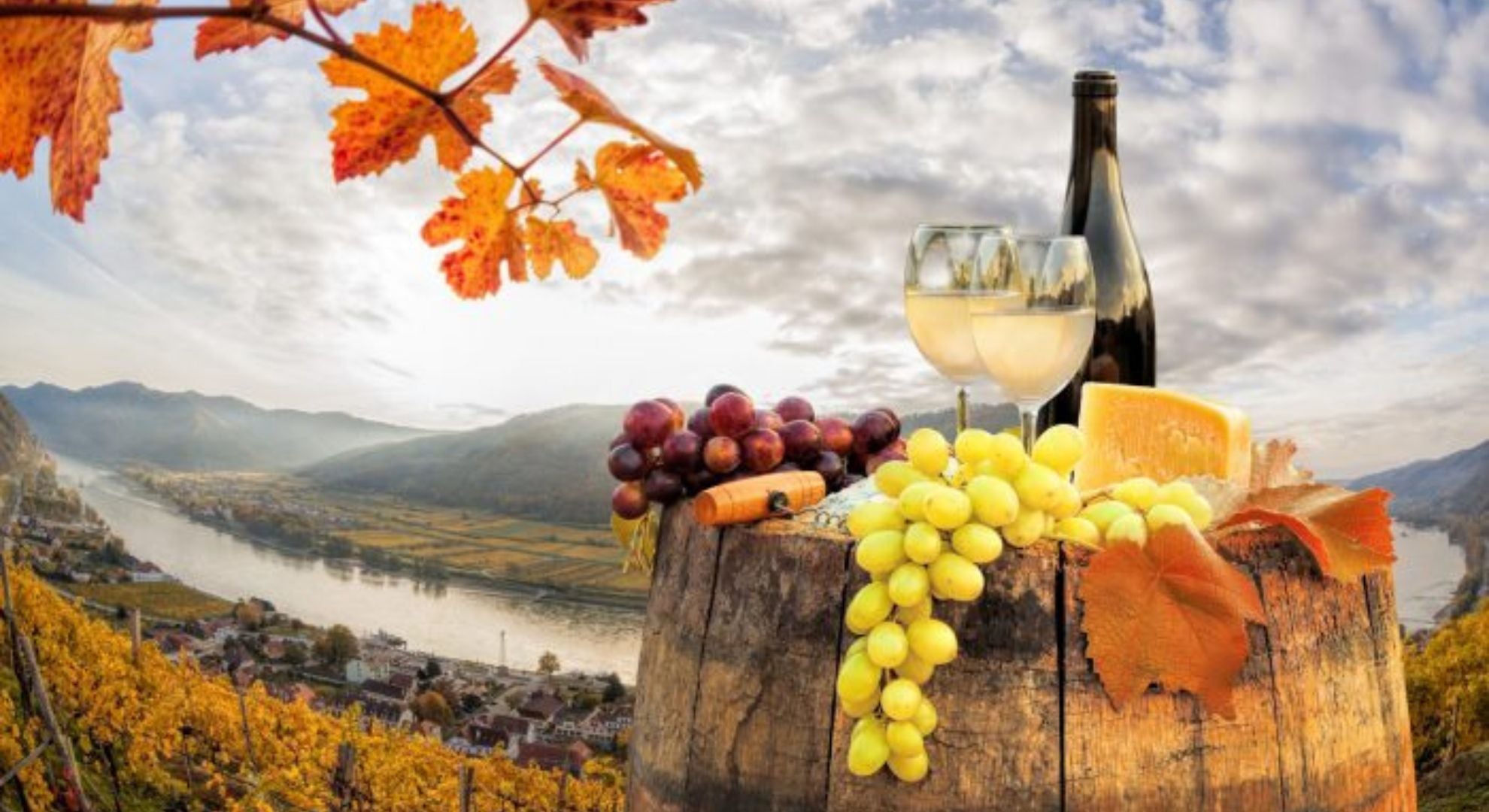 Outdoor Fall Entertaining: A Wine Lover's Dream – Kwaf Wine Aerators