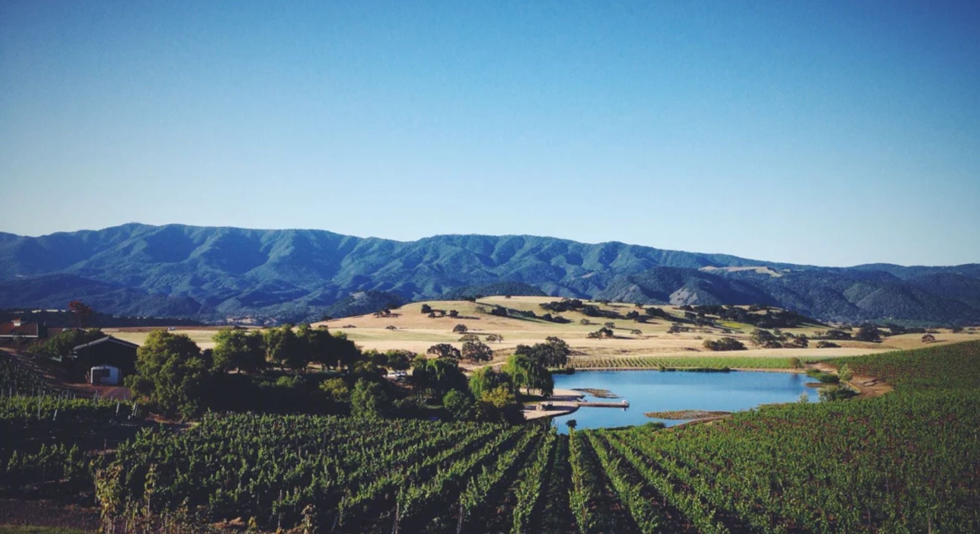 Experience the Perfect Blend: Two Wolves Wine – Kwaf Wine Aerators