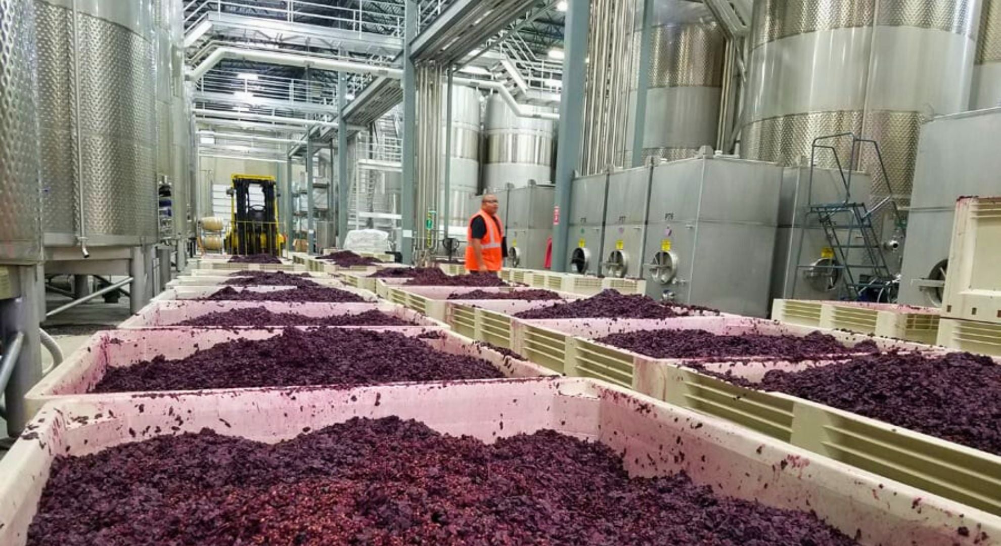 Innovative Approaches in Winemaking: Techniques for Modern Winemakers ...