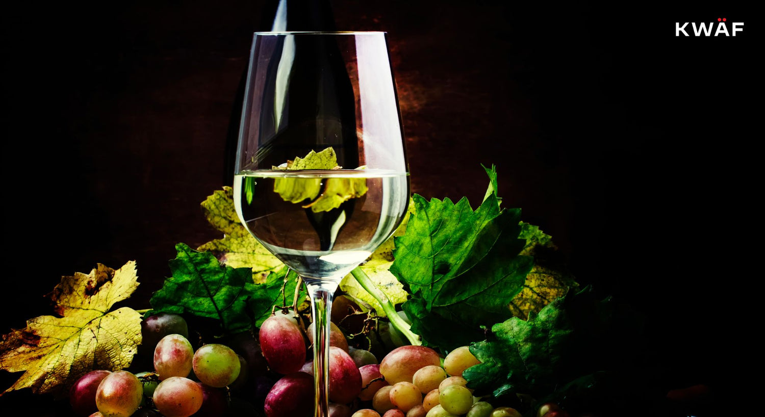 Types of White Wine Dry: A Beginner's Guide – Kwaf Wine Aerators